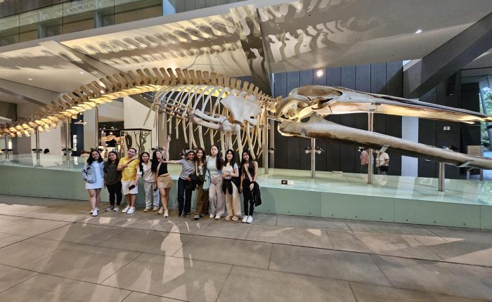 Sydney Metro College – Education Redefined